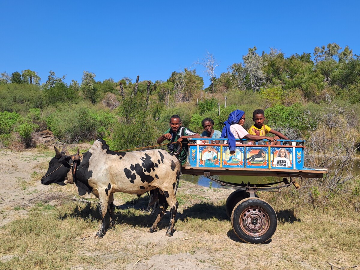 Μαδαγασκάρη / Μια χώρα «στον αυτόματο» - tvxs.gr
